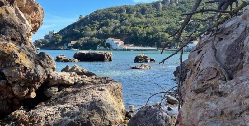 Lisboa: Setúbal, Arrábida & Azeitão Tour, with Wine Tasting! - The Experience in Perspective