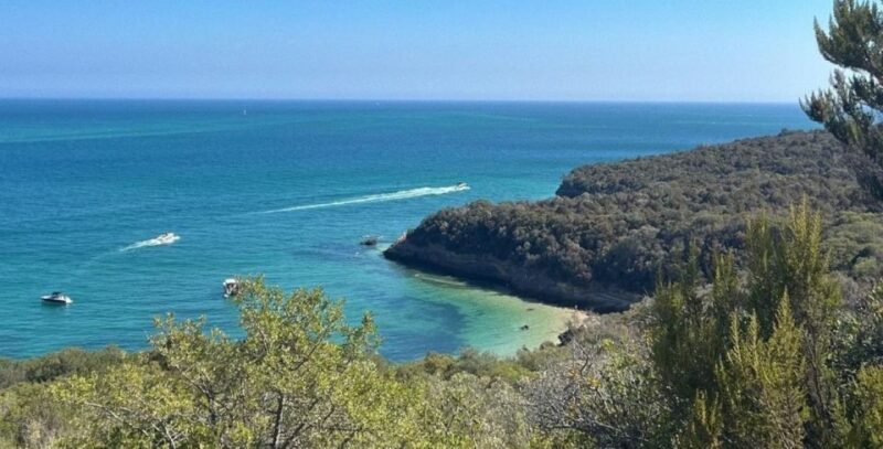 Lisboa: Setúbal, Arrábida & Azeitão Tour, with Wine Tasting! - Who Will Love This Tour?
