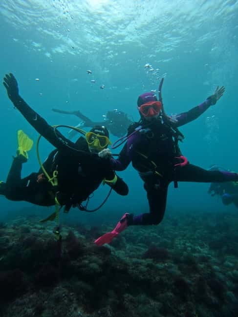 Lisboa:Try Scuba Diving in Arrábida Marine Reserve w/photos - A Closer Look at the Itinerary