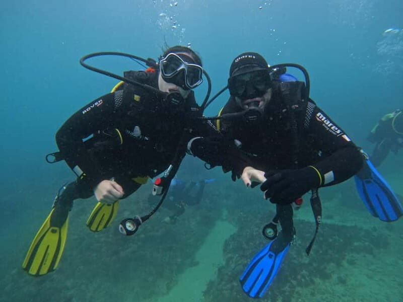 Lisboa:Try Scuba Diving in Arrábida Marine Reserve w/photos - Authentic Experiences and Authentic Guides