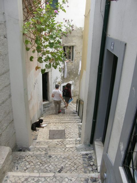 Lisbon: Alfama and São Jorge Castle Quarters Walking Tour - Discovering Lisbon’s Historic Heart
