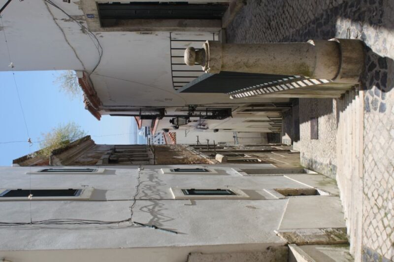 Lisbon: Alfama and São Jorge Castle Quarters Walking Tour - Who Will Love This Tour?
