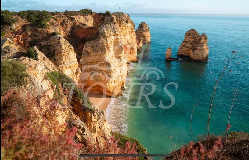 lisbon: algarve, benagil cave, portimao, Lagos private tour. - Pricing and Value