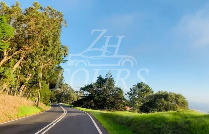 lisbon: algarve, benagil cave, portimao, Lagos private tour. - Who Is This Tour Best For?
