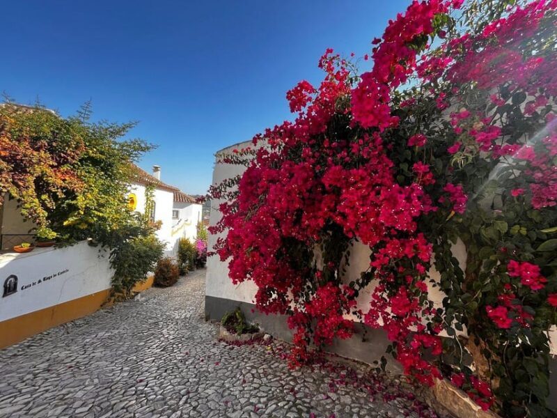 Lisbon and Obidos private day trip from Porto - Practical Details and Value