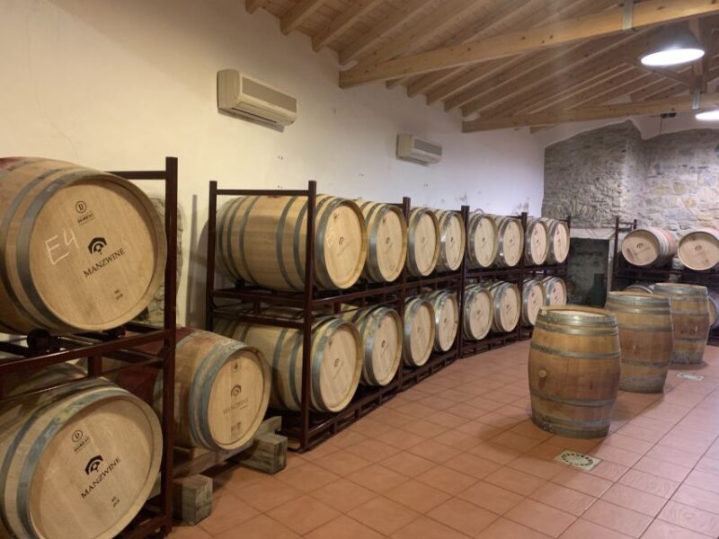 Lisbon Area Wine Tour - Exploring the Young and Modern Wineries