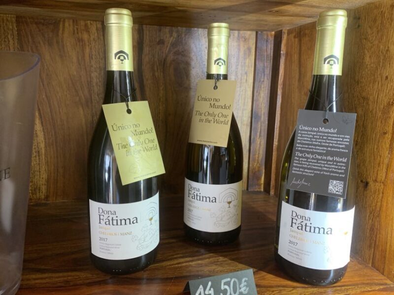 Lisbon Area Wine Tour - Practical Aspects: Transportation, Group Size, and Value