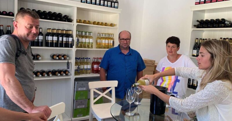 Lisbon Area Wine Tour - Who Will Love This Tour?