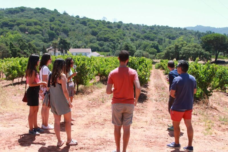 Lisbon: Arrábida and Sesimbra Day Trip with Wine - Authentic reviews from travelers
