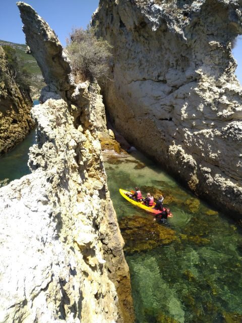 Lisbon: Arrábida Kayak and Coasteering Adventure Tour - Potential Drawbacks and Considerations