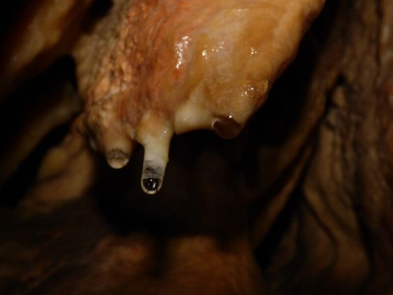 Lisbon: Arrábida Natural Park Cave Tour with Guide - Frequently Asked Questions