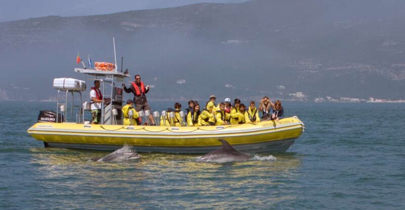 Lisbon: Arrábida Natural Park Dolphin Watching Boat Tour - Final Thoughts