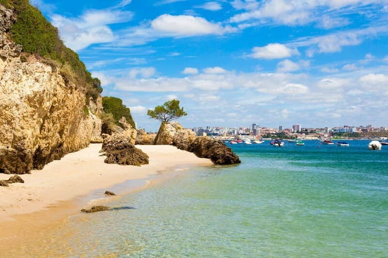 Lisbon: Arrábida Natural Park, Setúbal, and Azeitão Day Trip - A Closer Look at the Day Trip Experience