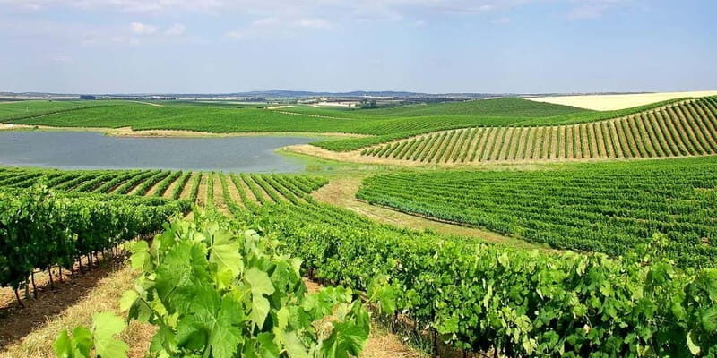 Lisbon: Arrábida Natural Park, Setúbal, and Azeitão Day Trip - FAQ