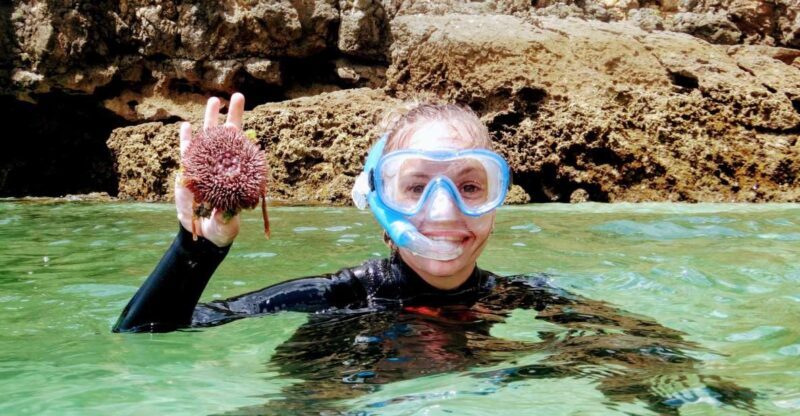 Lisbon: Arrábida Snorkeling Adventure - The Mountain Trek and Coastal Views