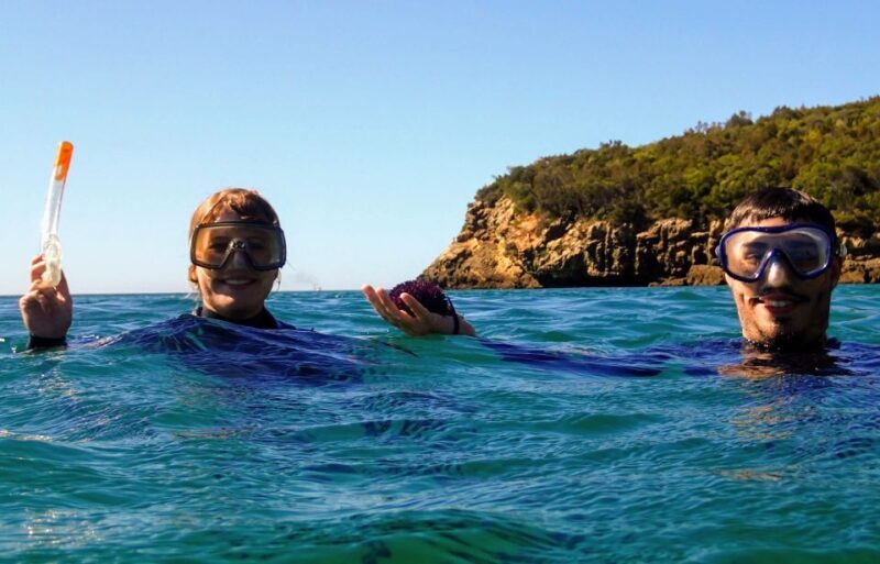 Lisbon: Arrábida Snorkeling Adventure - Logistics, Group Size, and Value