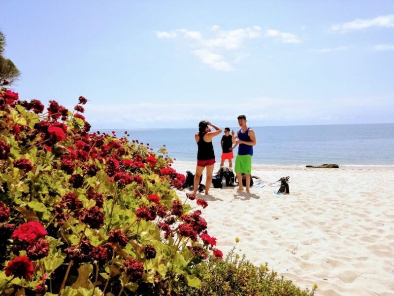 Lisbon: Arrábida Snorkeling Adventure - Final Thoughts: Who Will Love This Tour?