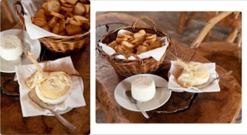 Lisbon: Azeitão Cheese Workshop with Wine & Food Tasting - Conclusions: Is This Tour Worth It?
