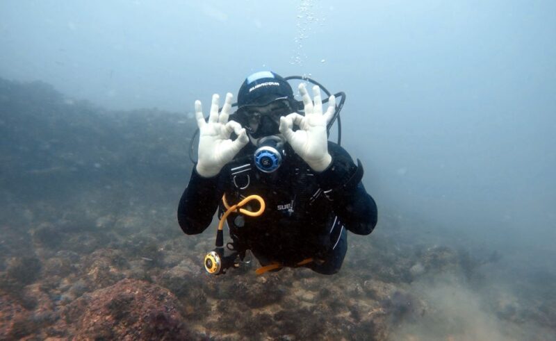 Lisbon: Become a Scuba Diver in 3-Days - What’s the Experience Like?