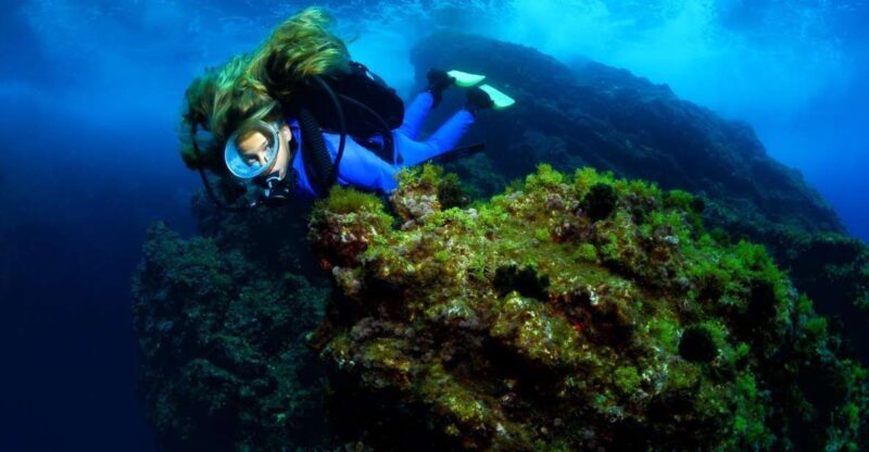Lisbon: Become a Scuba Diver in 3-Days - Who Is This Tour Best For?