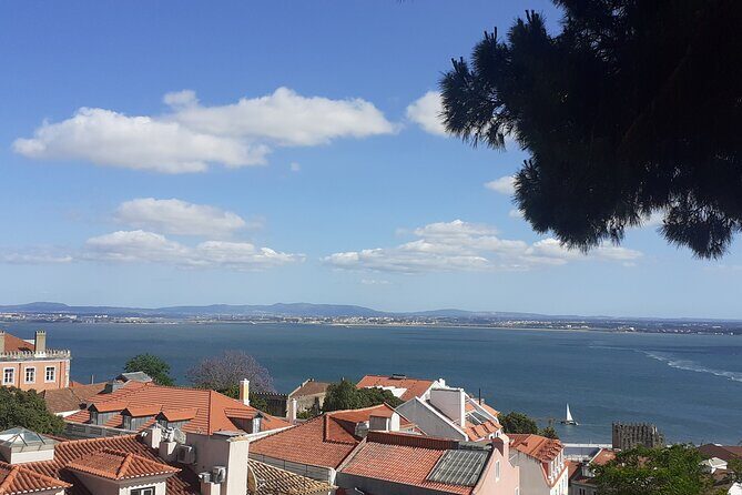 Lisbon by Heart Private Walking Tour - Practical Details