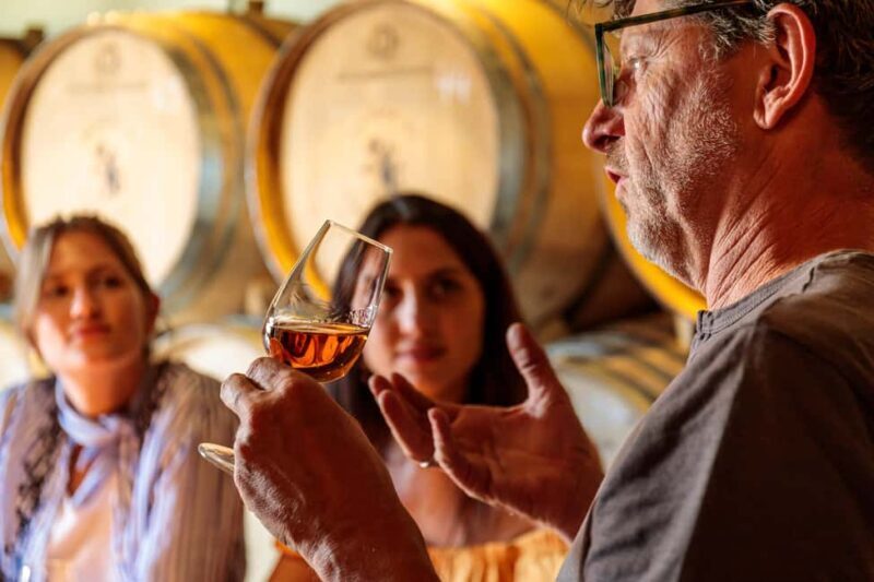 Lisbon: Carcavelos Vineyard Tour and Wine Tasting - Final Thoughts: Who Will Love This Experience?