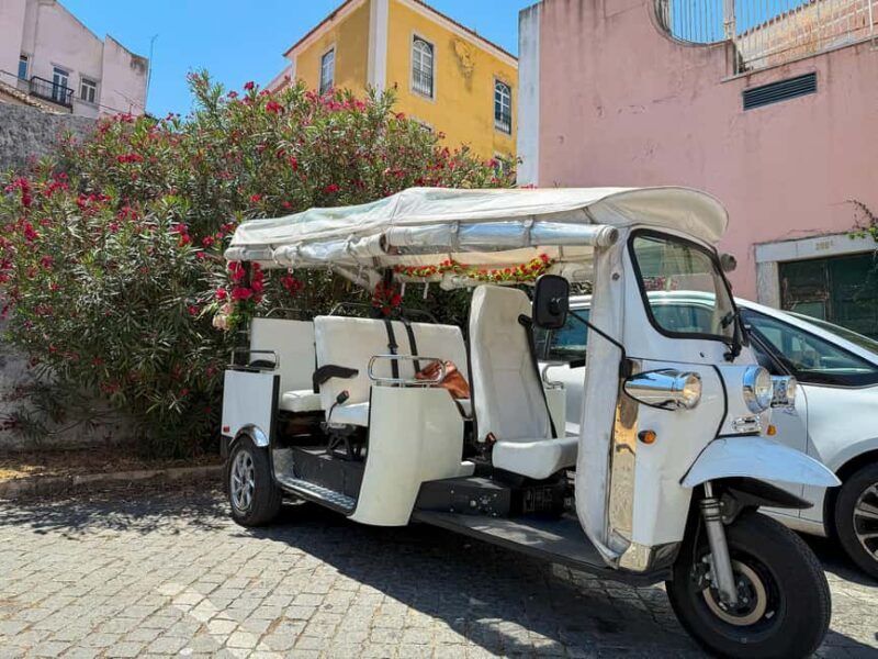 Lisbon City Overview with Tuk Tuk - Analyzing the Value