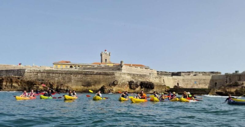 Lisbon: Coast Guided Kayak Tour - Exploring Lisbons Coast by Kayak: An In-Depth Look