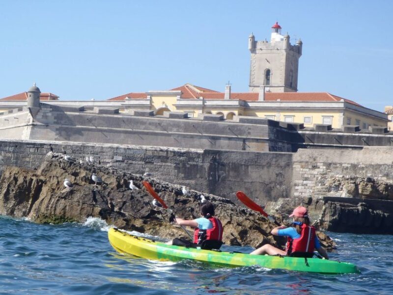 Lisbon: Coast Guided Kayak Tour - A Practical Dive into What to Expect
