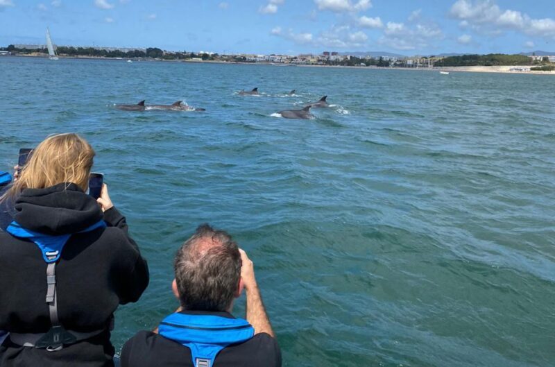Lisbon: Dolphin Watching Boat Tour with Welcome Coffee - Who Will Enjoy This Tour?