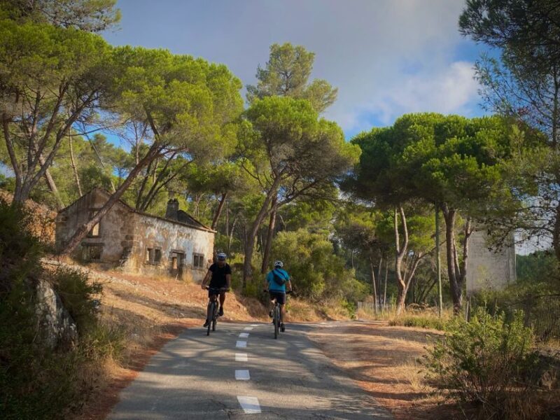 Lisbon: E-bike Trip from the Sintra Mountains to Cascais Sea - Key Points