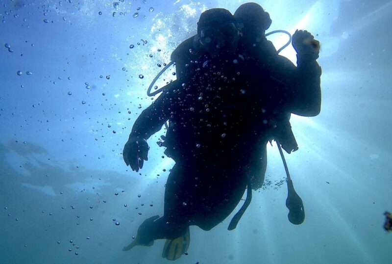 Lisbon: Eco-Friendly Beginner's Scuba Diving - Why This Experience Works for Travelers