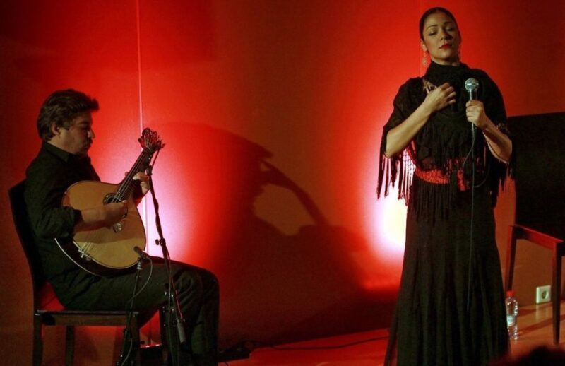 Lisbon: Evening City Tour with Dinner and Live Fado Show - Who This Tour Is Best For