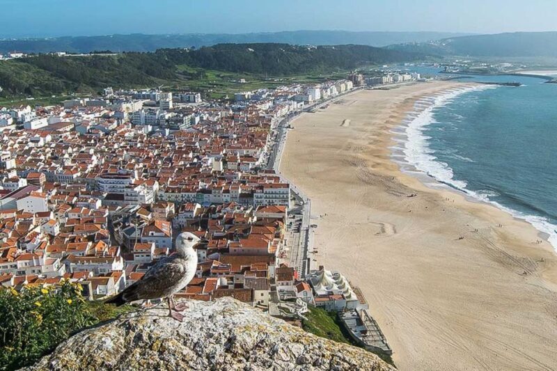 Lisbon: Fátima, Nazaré, and Óbidos Private Tour - Key Points