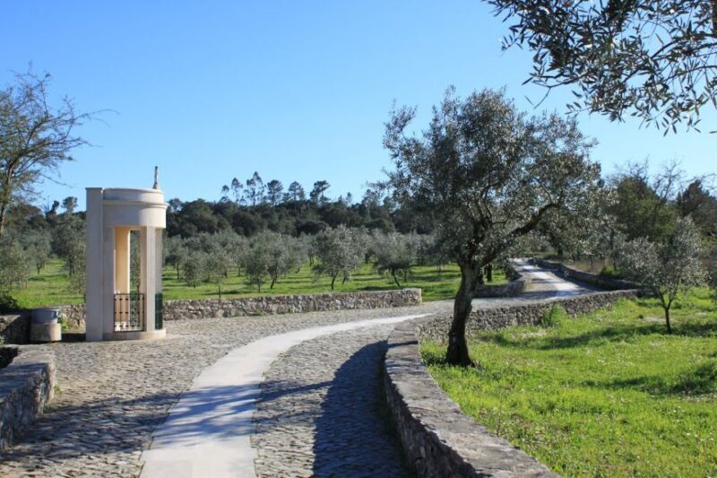 Lisbon Fatima Sanctuary Private Half Day Tour - Key Points