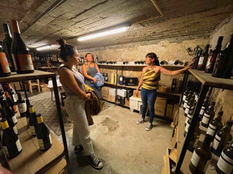 Lisbon: Food and Wine tasting tour in Local Hidden Gems - Who Will Love This Tour?