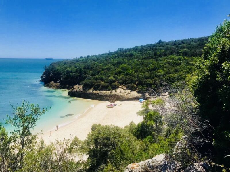Lisbon: Full-Day Arrabida Kayak Tour with Picnic - The Experience Reviews and What They Tell Us
