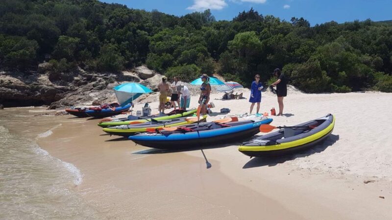 Lisbon: Full-Day Kayak Tour with Picnic and Transfer - Key Points