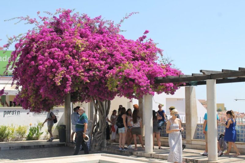 Lisbon: Full-Day Private Walking Sightseeing Tour - The Value of a Guided Private Tour