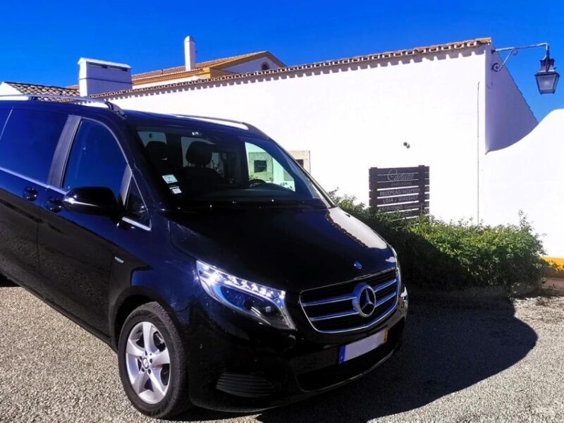 Lisbon: Full-Day Tailor-Made Private Tour with Your Guide - Additional services and considerations