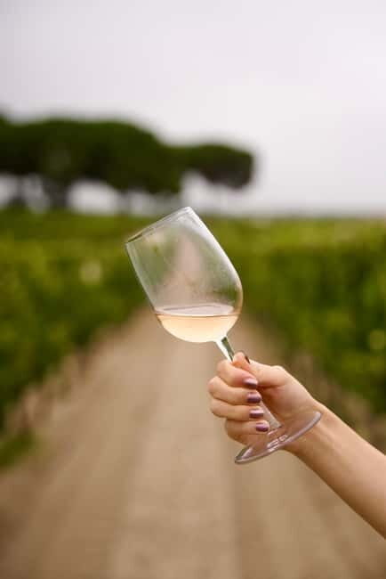 Lisbon: Full-Day Wine Tasting Tour in Setúbal ALL INCLUSIVE - Detailed Itinerary Breakdown