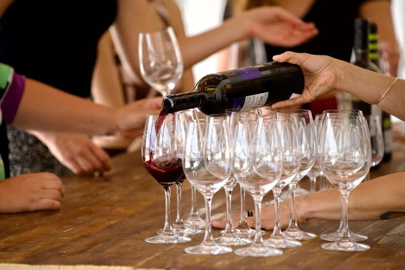 Lisbon: Full-Day Wine Tasting Tour in Setúbal ALL INCLUSIVE - Final Thoughts