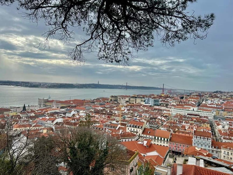 Lisbon: Guided Sightseeing Tour by Tuk Tuk - The Practical Side: Logistics and Considerations