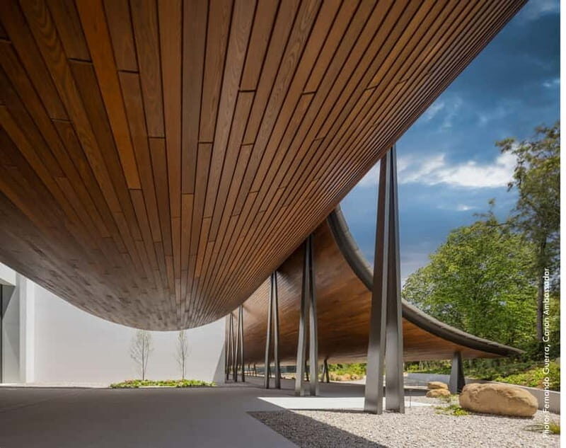 Lisbon: Gulbenkian Collection+Centro de Arte Moderna Ticket - The Gardens: An Artistic and Tranquil Retreat