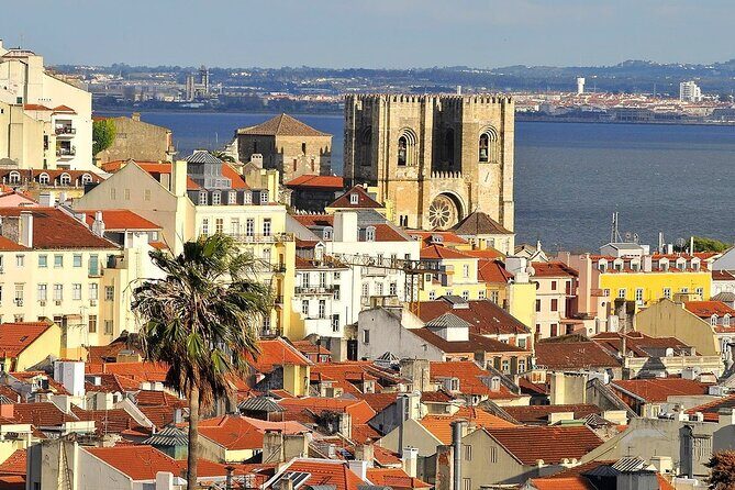 Lisbon Half Day Private Tour - A Deep Dive Into the Lisbon Half Day Private Tour