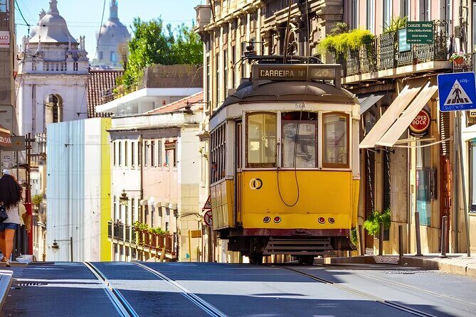 Lisbon Half day tour by Private Car - Who Will Love This Tour?