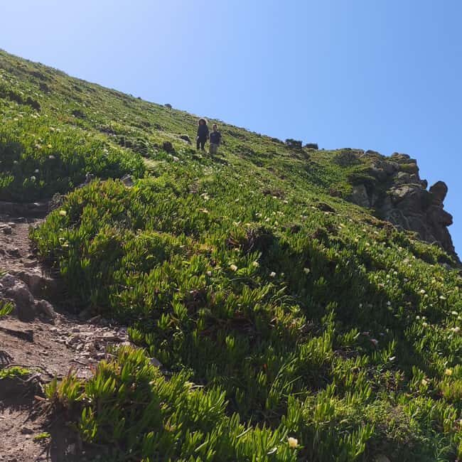Lisbon: Hike on the Edge of Europe - Who Will Enjoy This Tour?