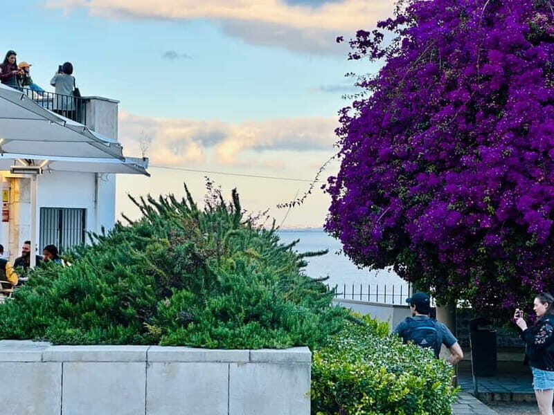 Lisbon: Historic City Tour by Tuk Tuk - The Value of the Tour