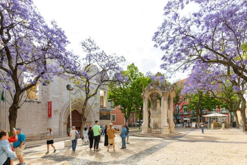 Lisbon: History, Stories and Lifestyle Walking Tour - Who Will Love This Tour?