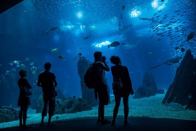 Lisbon Hop-On Hop-Off Bus and Boat Tour with Oceanário Ticket - Key Points
